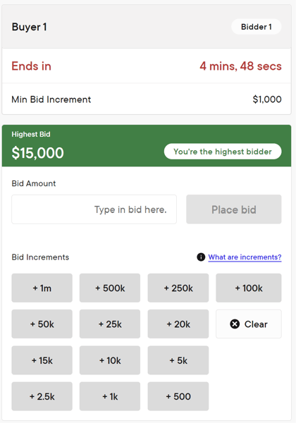 Timed Auction - Guide for prospective bidders