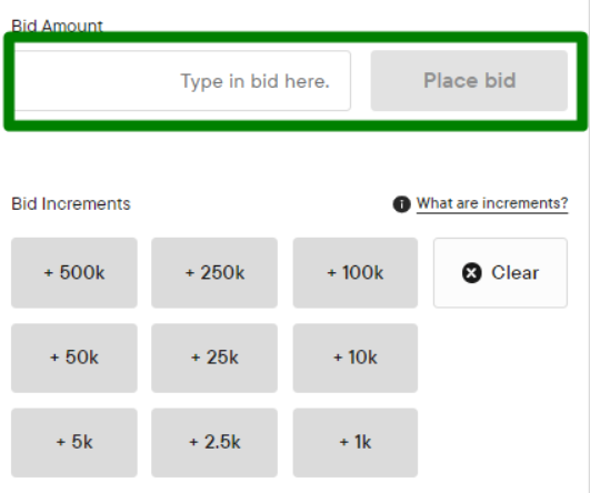 Timed Auction - Guide for prospective bidders